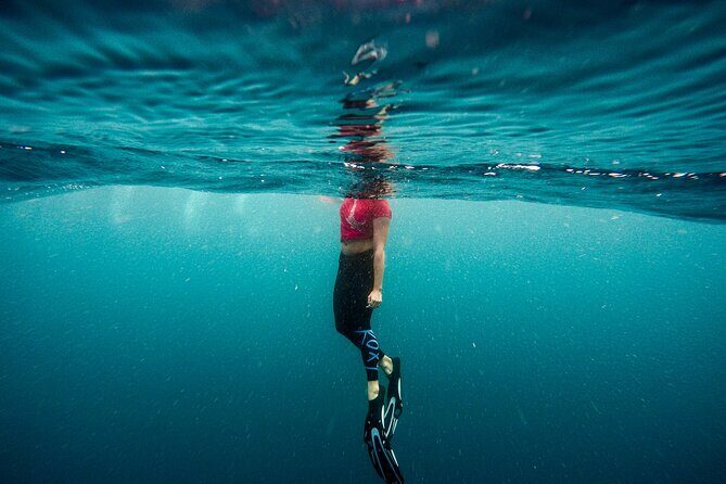 Snorkeling in Amed and Tulamben - Snorkeling in Amed and Tulamben: A Balinese Underwater Adventure