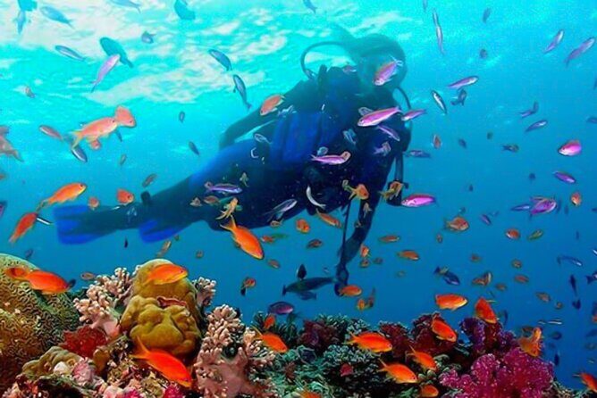 Snorkeling in Coral Island, Trincomalee - The Sum Up: Is It Worth It?