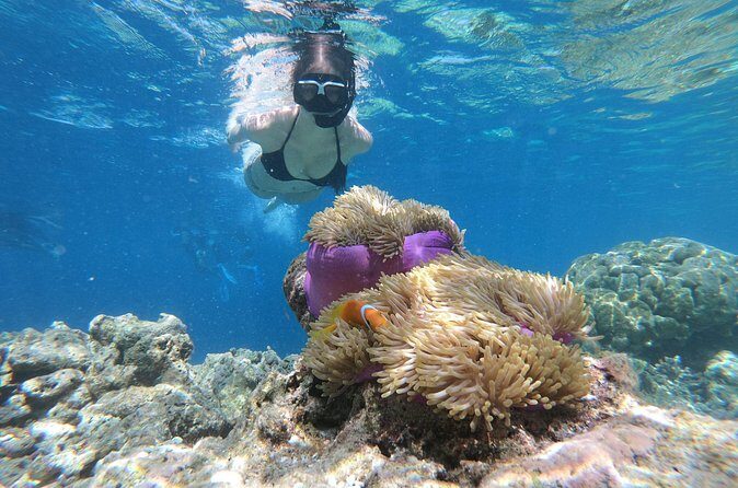 Snorkeling in Dhiffushi - Concluding Thoughts