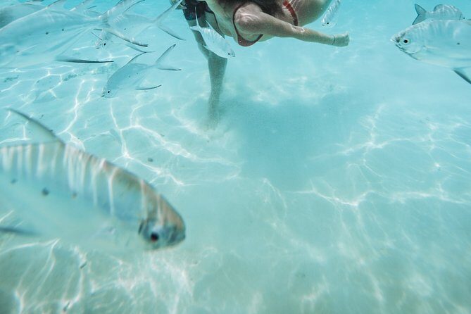 Snorkeling in Dhiffushi - FAQ