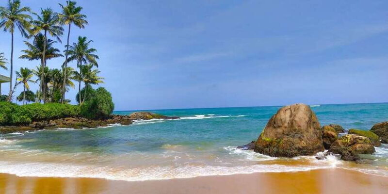Snorkeling in Hikkaduwa - Key Points