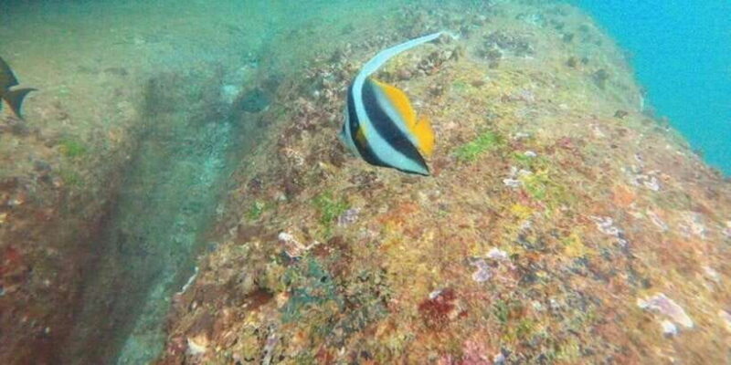 Snorkeling in Hikkaduwa - Additional Practical Details