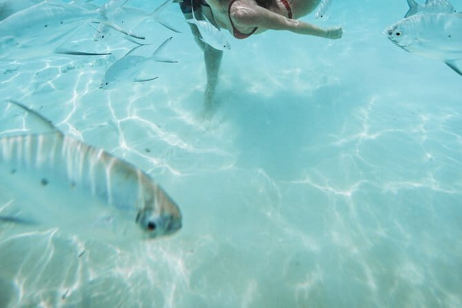 Snorkeling in Huraa - Why Snorkeling in Huraa Matters