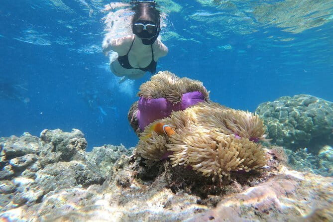 Snorkeling in Huraa - The Experience from the Reviews