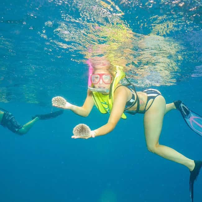 Snorkeling in Montego Bay with Transportation - What the Reviews Tell Us