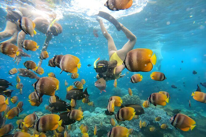 Snorkeling In Nusa Penida Departing From Bali Island - What We Loved About the Experience