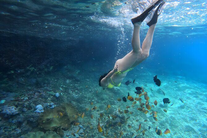 Snorkeling In Nusa Penida Departing From Bali Island - The Light and the Shadows: Pros and Cons