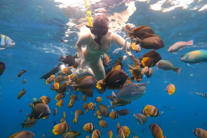 Snorkeling In Nusa Penida Departing From Bali Island - Who Should Consider This Tour?