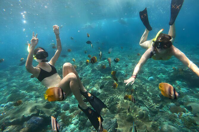 Snorkeling In Nusa Penida Departing From Bali Island - FAQ — Practical Questions