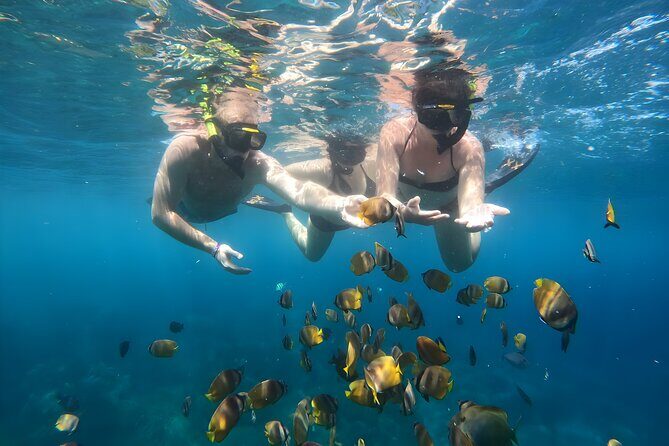 Snorkeling In Nusa Penida Departing From Bali Island - Final Thoughts