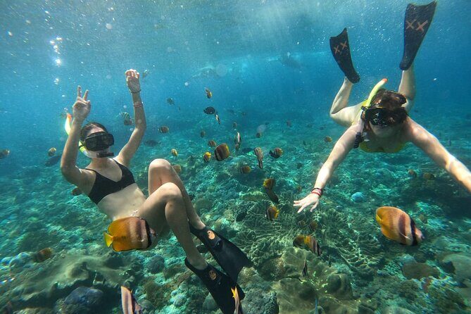 Snorkeling In Nusa Penida Island With Manta Ray From Bali - Introduction
