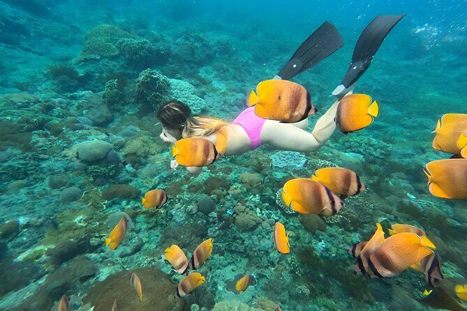 Snorkeling In Nusa Penida Island With Manta Ray From Bali - In-Depth: What Makes or Breaks This Tour