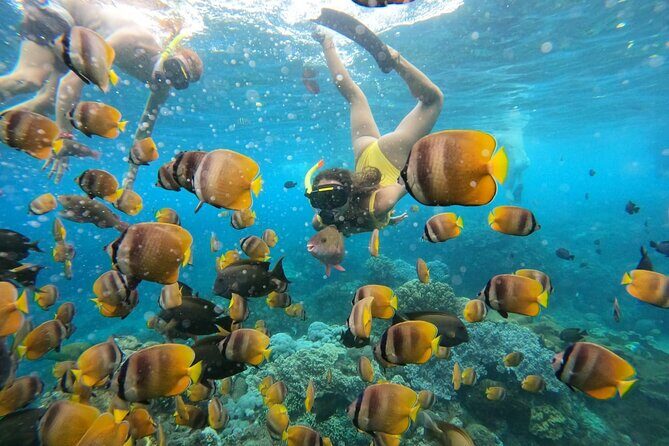 Snorkeling In Nusa Penida Island With Manta Ray From Bali - Who Should Book This Tour?