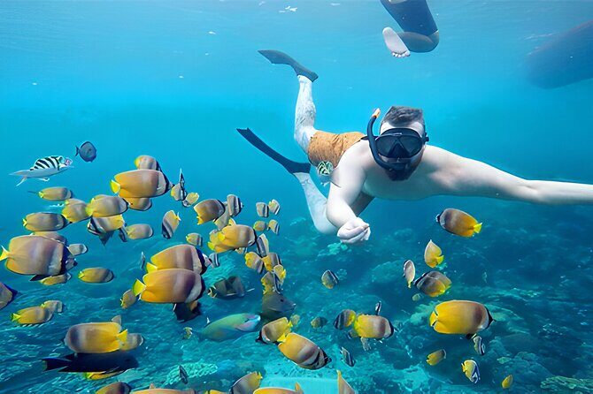 Snorkeling in Nusa Penida - Manta Bay, Wall Point and Gamat Bay - Value for Money