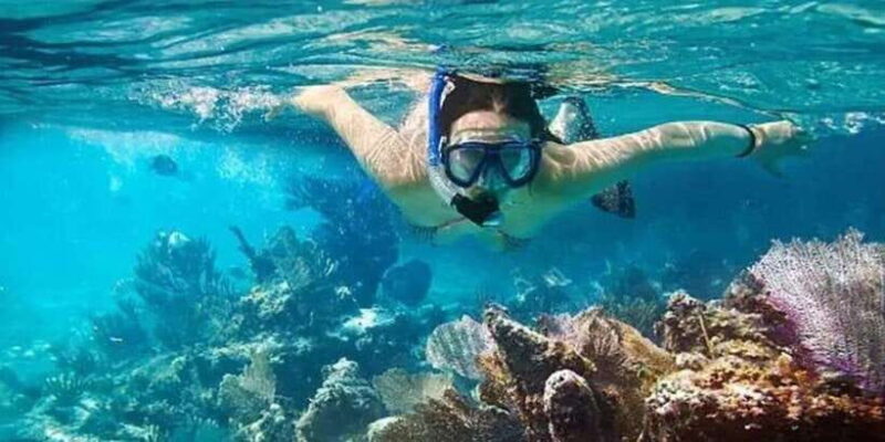 Snorkeling in Port City - Introduction