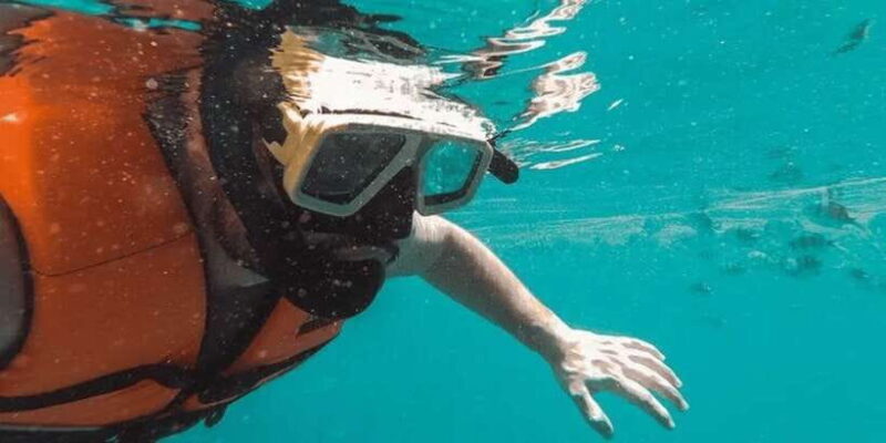 Snorkeling in Port City - Setting the Scene: What the Tour Offers