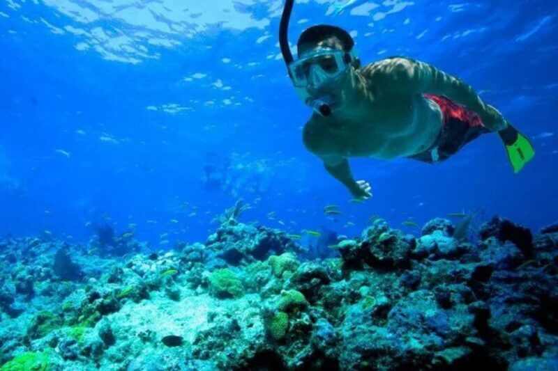 Snorkeling in Port City - What Travelers Say