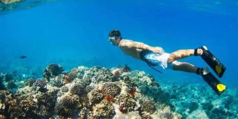 Snorkeling in Port City - Detailed Breakdown: Why It Works for You