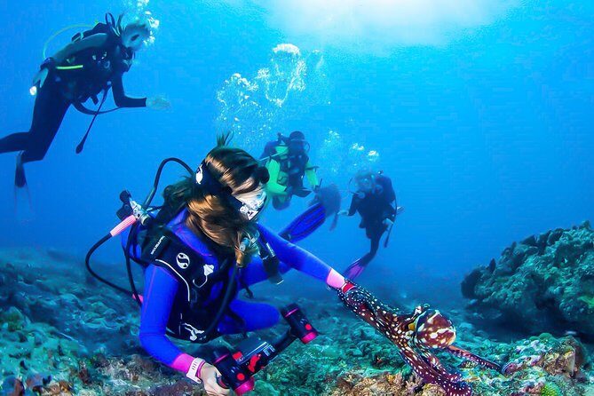 Snorkeling in Talawila St. Anne's Reef - A Detailed Look at Snorkeling in Talawila St. Annes Reef
