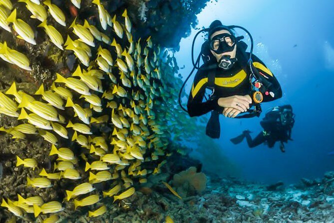 Snorkeling in Talawila St. Anne's Reef - Who Will Enjoy This Experience?
