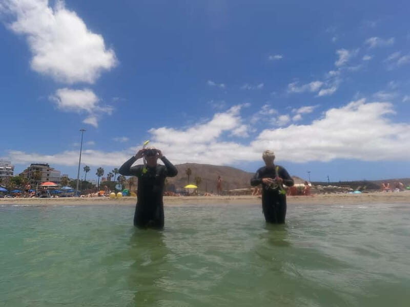 Snorkeling in tenerife south: Discover the underwater world - What to Expect and Why It Matters