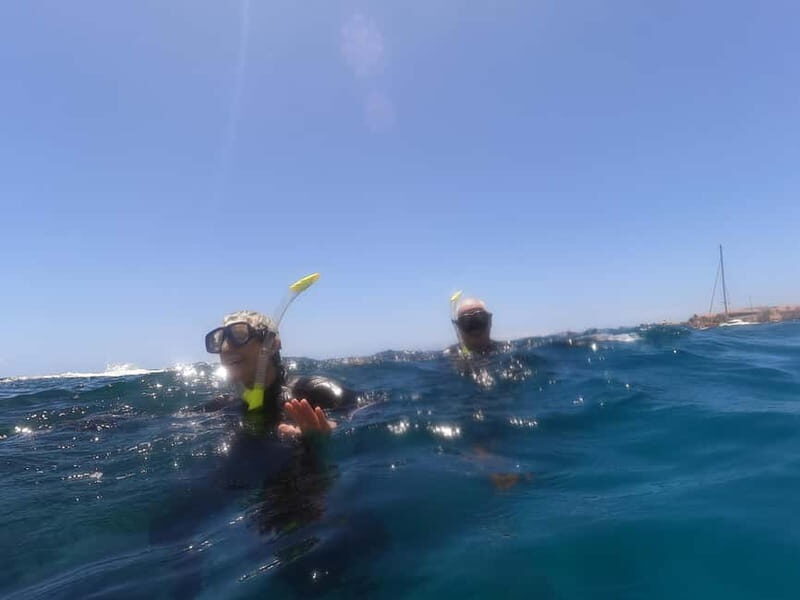 Snorkeling in tenerife south: Discover the underwater world - Pricing & Value