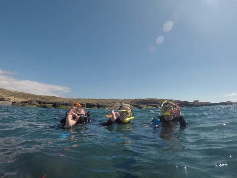 Snorkeling in tenerife south: Discover the underwater world - Authentic Insights from Reviews