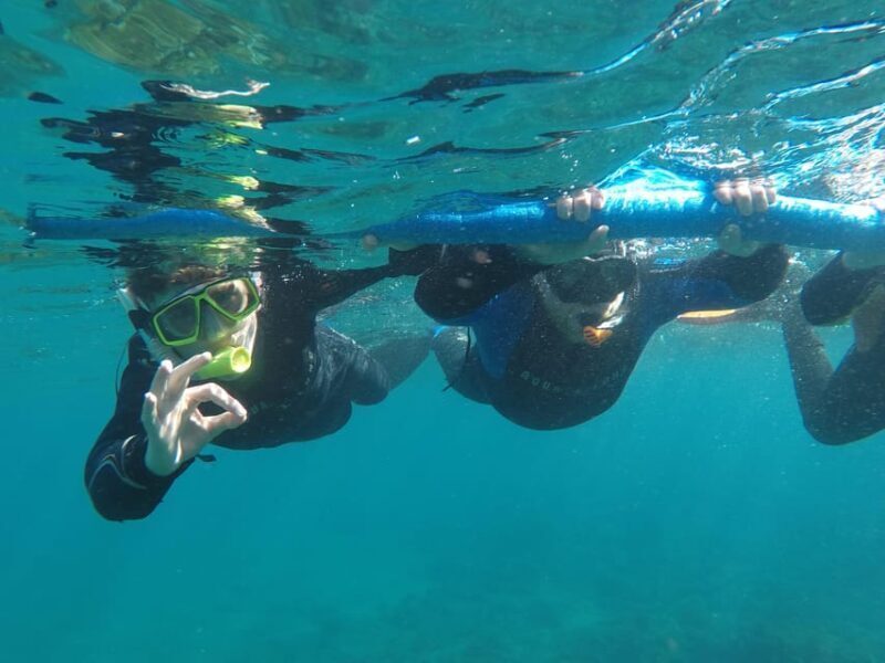 Snorkeling in tenerife south: Discover the underwater world - Who Should Consider This Tour?