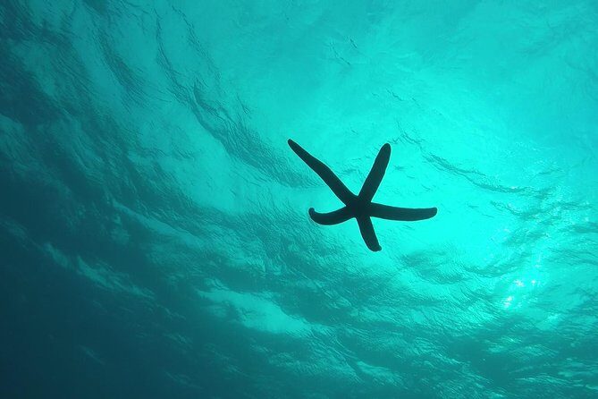 Snorkeling in the Blue Cave areaOkinawa Prefecture: Free feeding & photo images!English and Chinese speaking guide available! - Authentic Experiences and Practical Insights