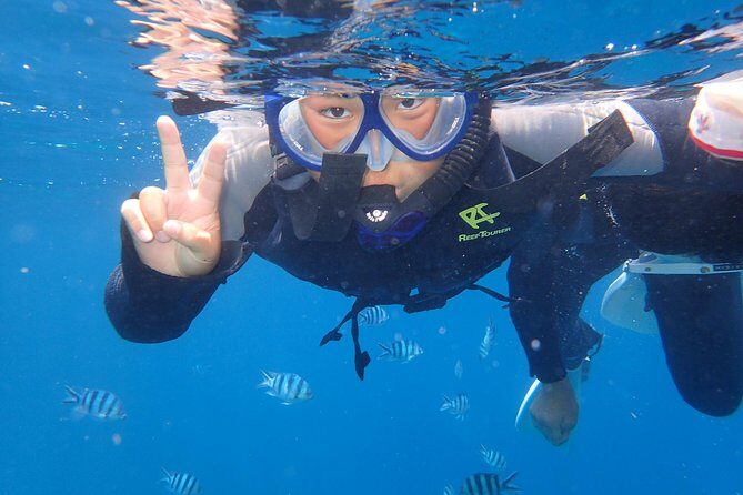 Snorkeling in the Blue Cave areaOkinawa Prefecture: Free feeding & photo images!English and Chinese speaking guide available! - The Sum Up