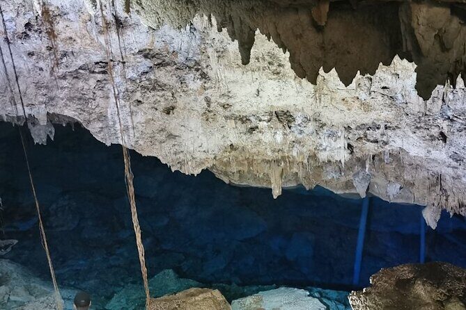 Snorkeling in the Cenotes of Bayahibe - Authenticity and Overall Value