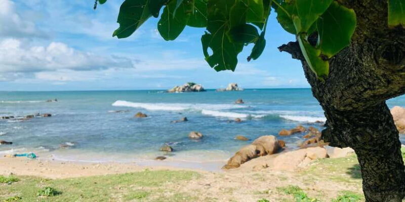 Snorkeling in Trincomalee - Key Points: