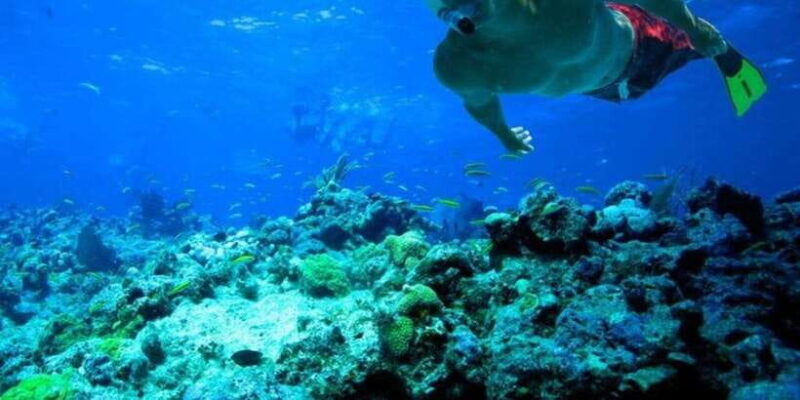 Snorkeling in Trincomalee - Who Should Consider This Tour?