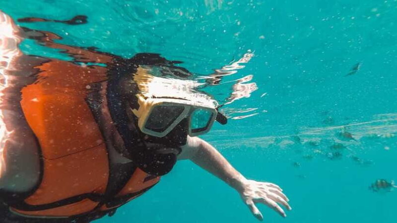 Snorkeling in Unawatuna - Reviews and What Others Say