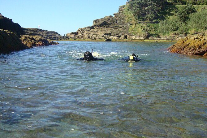 Snorkeling in Vila Franca do Campo - Frequently Asked Questions