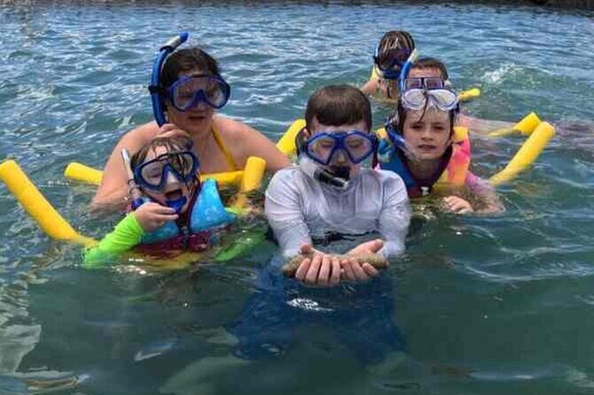 Snorkeling in Waikiki Many Fish All Levels Free Video & Pics! - Who Will Love This Experience?