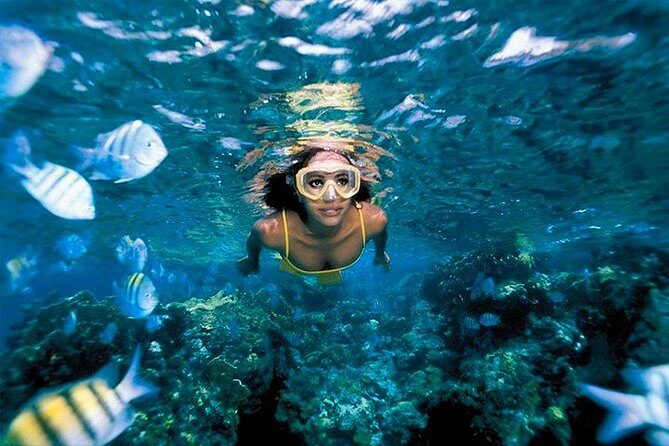 Snorkeling & Kayacking Day Trip Royal Garrafon Park Bassic Classic - The Return and Common Concerns