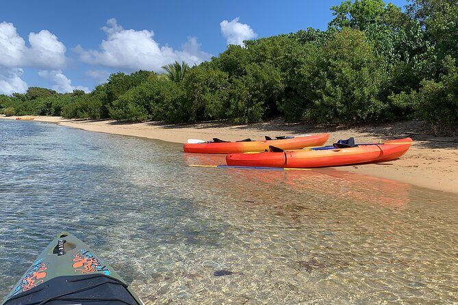 Snorkeling & Kayak Eco-Adventure in Puerto Rico - Key Points