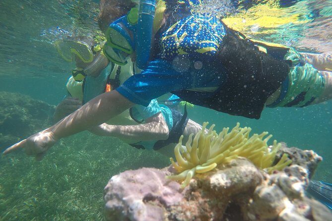 Snorkeling & Kayak Eco-Adventure in Puerto Rico - Who Should Consider This Tour?