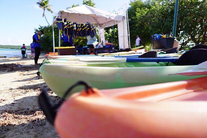 Snorkeling & Kayak Eco-Adventure in Puerto Rico - FAQs