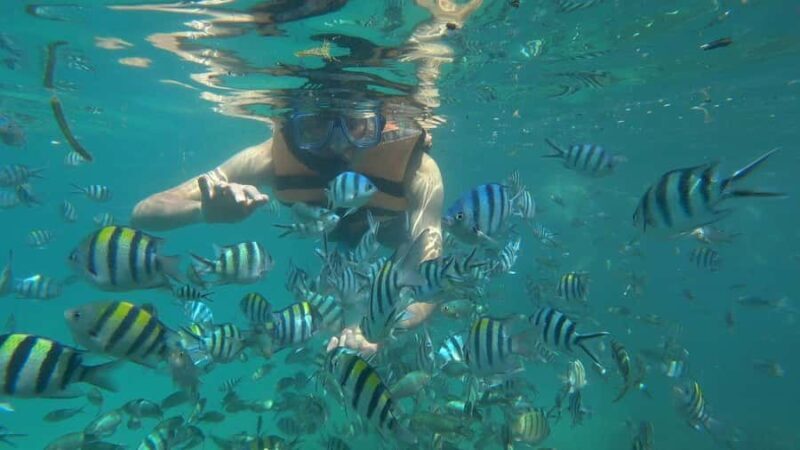 Snorkeling Kayaking Fishing Swimming Activities - An In-Depth Look at the Tour Experience