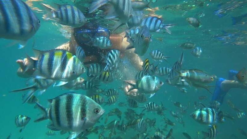 Snorkeling Kayaking Fishing Swimming Activities - Who Will Love This Experience?