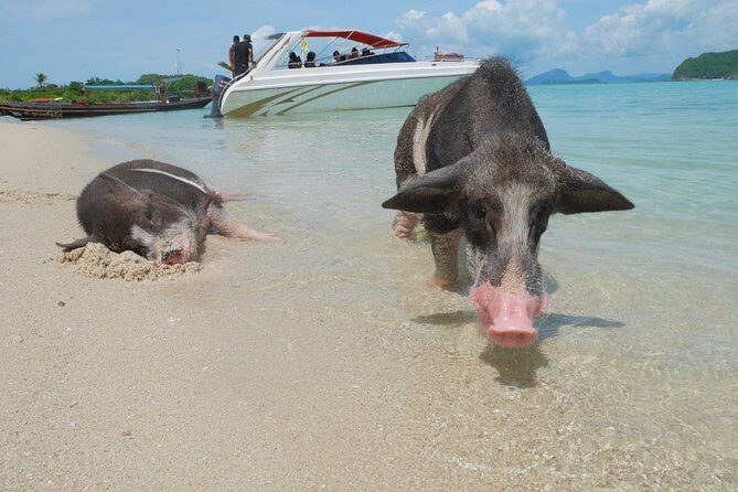 Snorkeling & Kayaking Trip at Koh Madsum and Koh Tan By Speedboat From Koh Samui - What’s Not Included