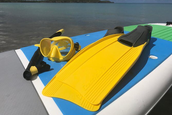 Snorkeling Lesson & Interactive Experience for Kids and Adults - The Experience: What to Expect on the Tour