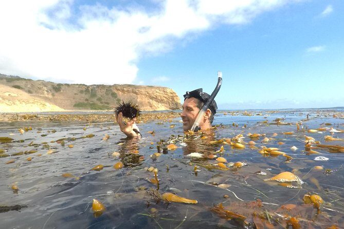 Snorkeling Los Angeles - A Practical Look at Snorkeling Los Angeles