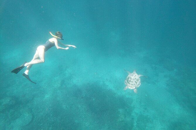 Snorkeling Manta Bay And West Penida Private Guided Tour - Who Will Love This Tour?