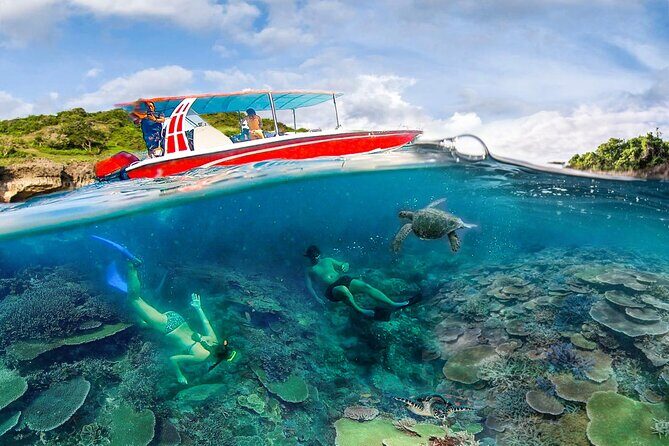 Snorkeling Manta Ray Safari in Nusa Penida - An In-Depth Look at the Snorkeling Safari Experience