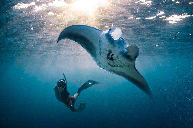 Snorkeling Manta Ray Safari in Nusa Penida - Additional Logistical Tips
