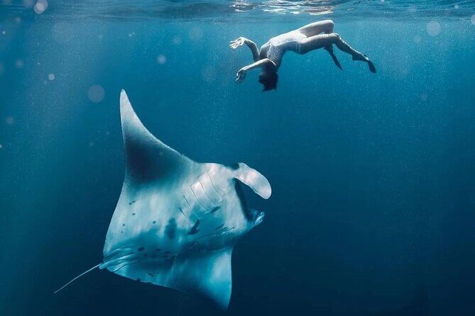 Snorkeling Manta Rays and Land Tour Nusa Penida All-Included - Introduction: Why This Tour Might Be Just Right for You