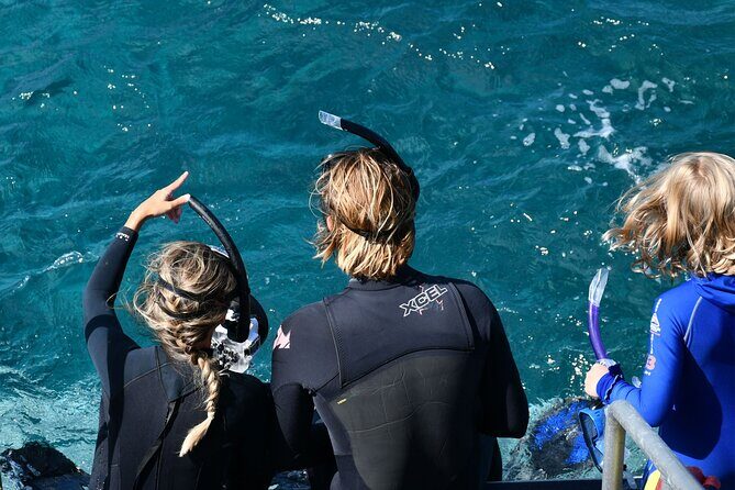 Snorkeling Manta Rays, Land Tour Tembeling Pool & Kelingking - Price and Value